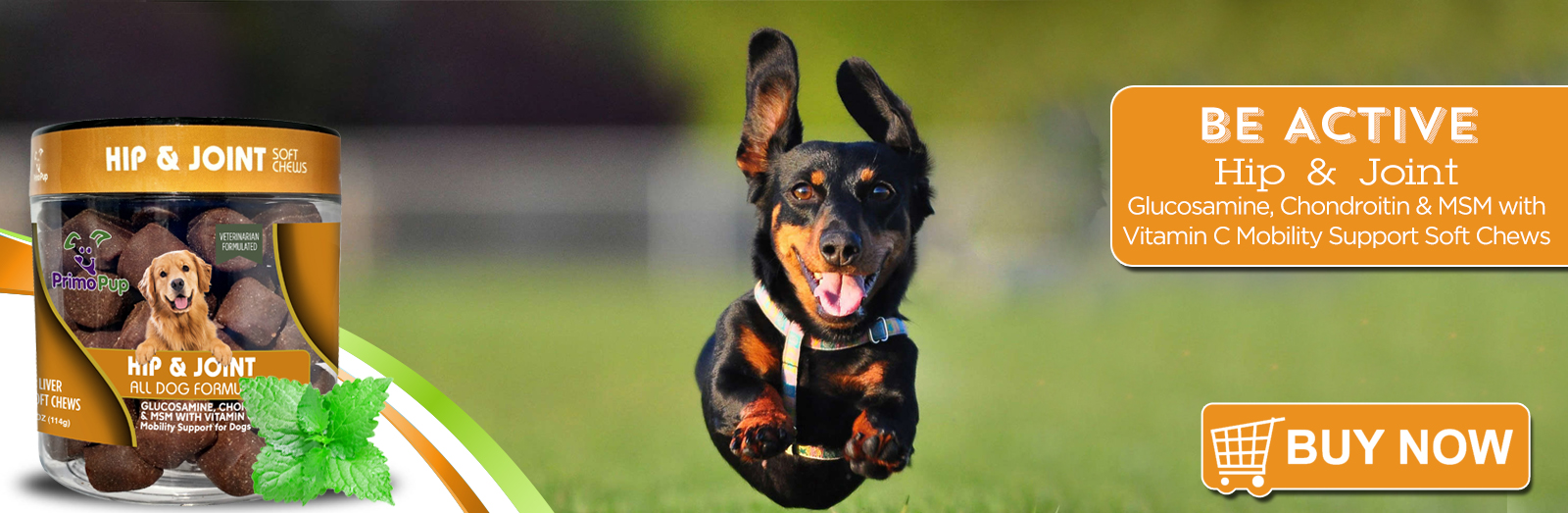 Hip & Joint - Primo Animal Health